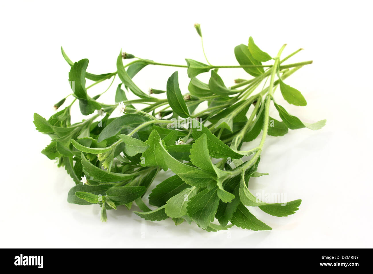 Sugar substi hi-res stock photography and images - Alamy