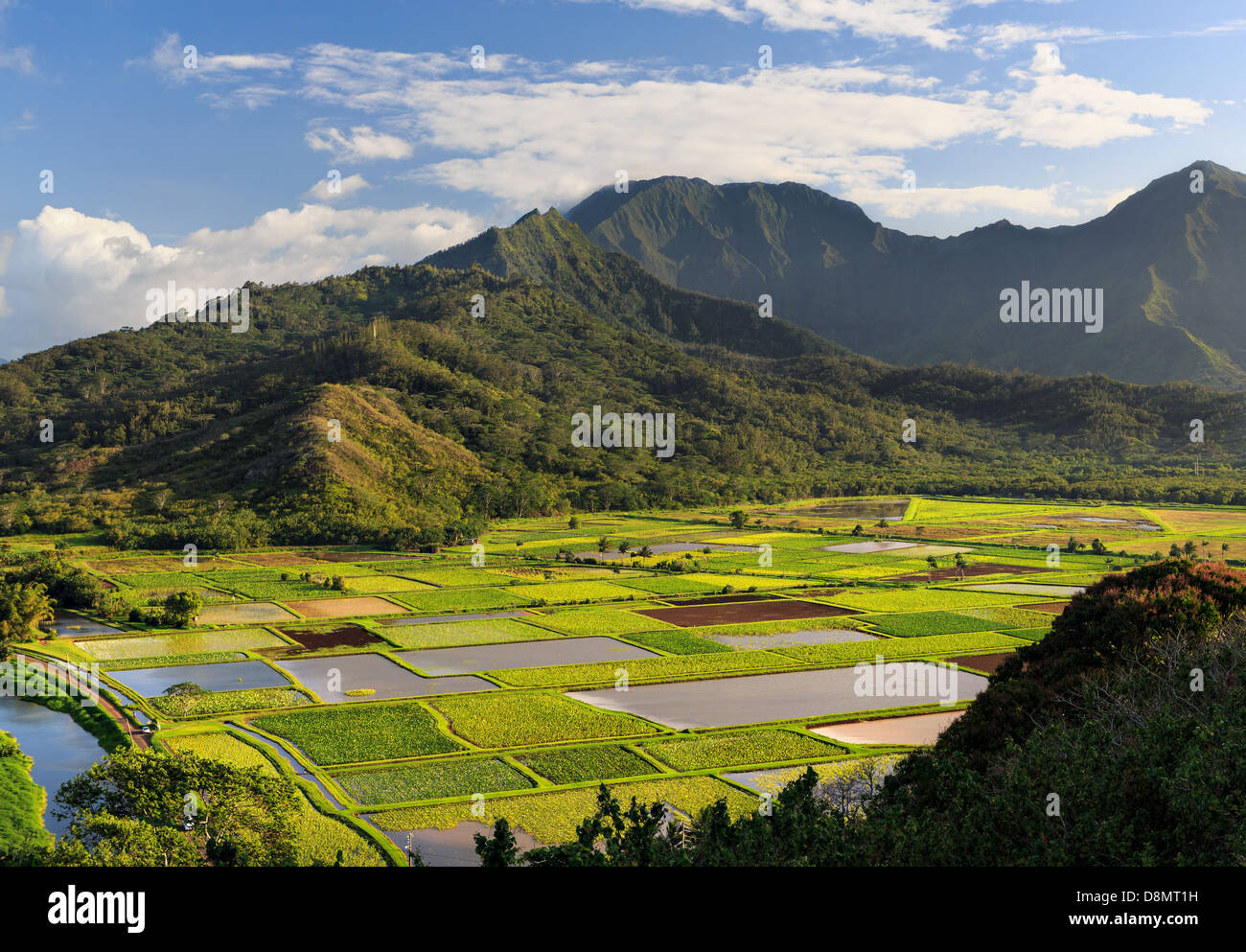Taro river hi-res stock photography and images - Alamy