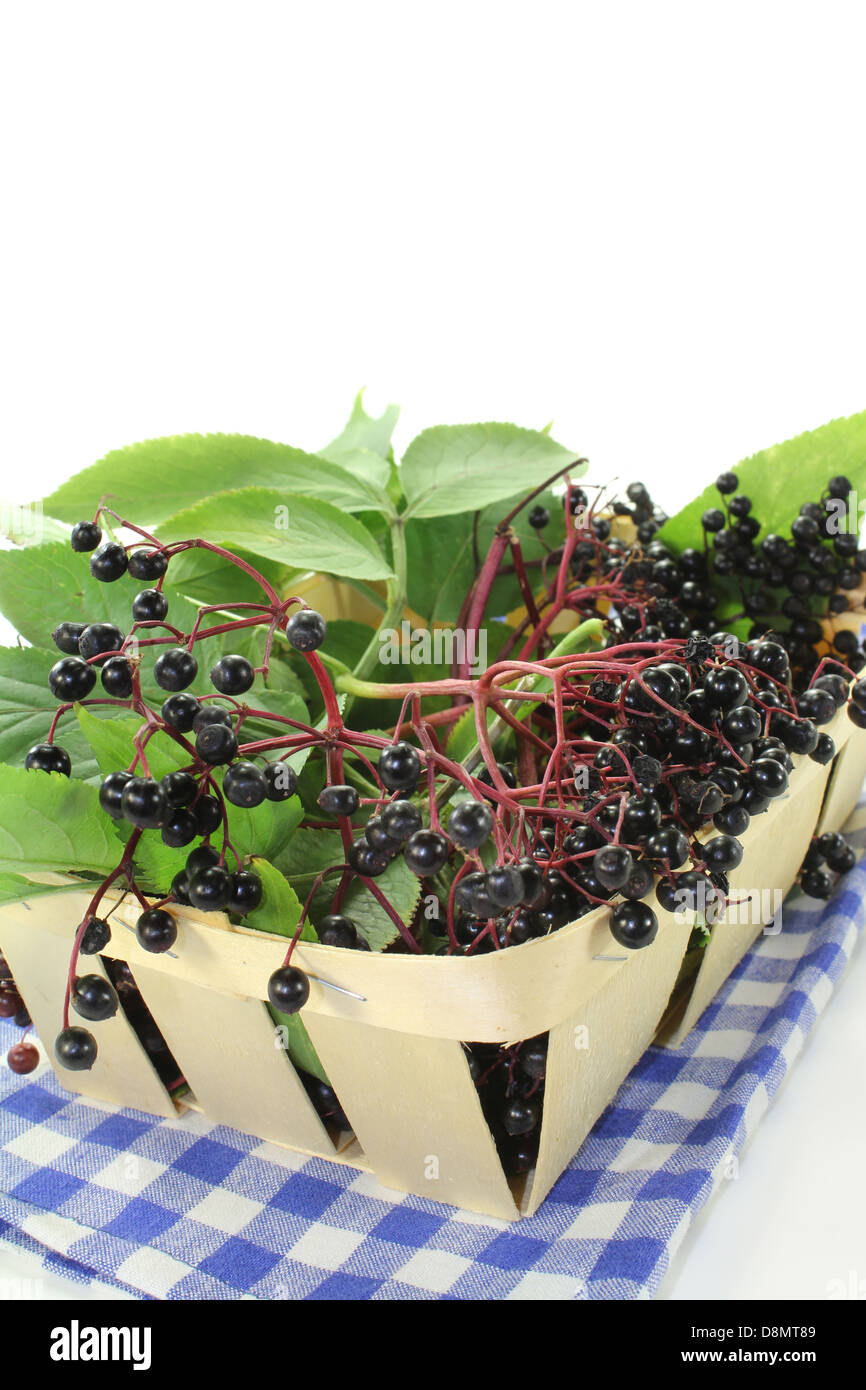 Elder berries hi-res stock photography and images - Alamy