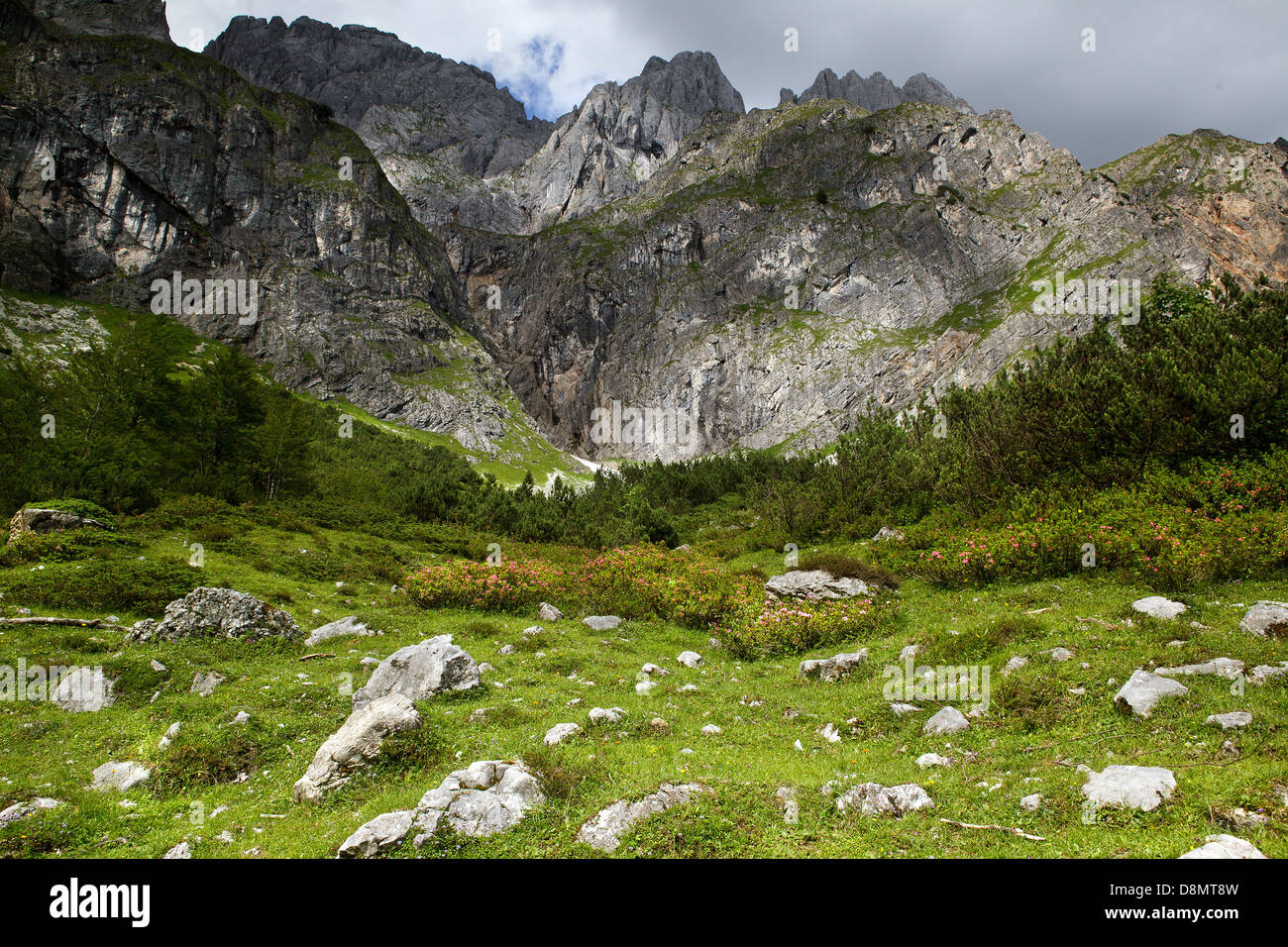Austrian alpen hi-res stock photography and images - Alamy