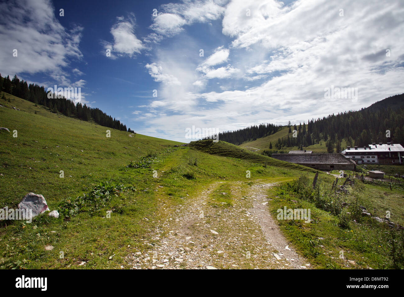 Austrian Alps in Summer Stock Photo - Alamy