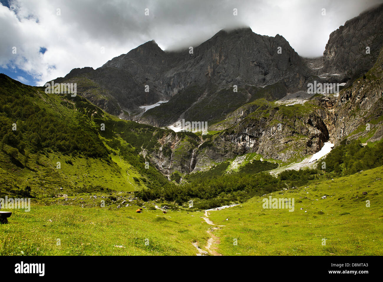 Austrian Alps in Summer Stock Photo - Alamy