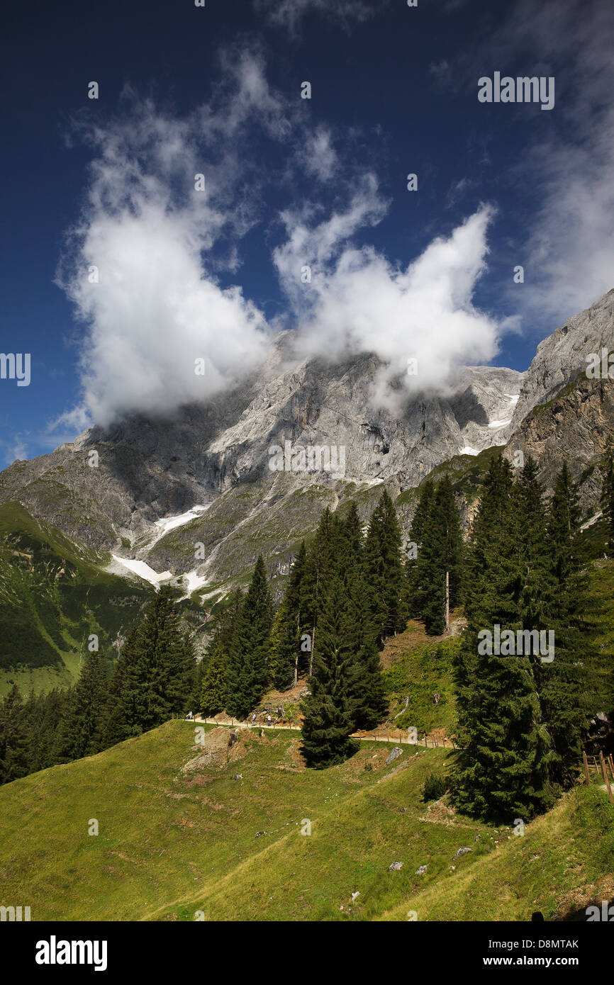 Summer flo hi-res stock photography and images - Alamy