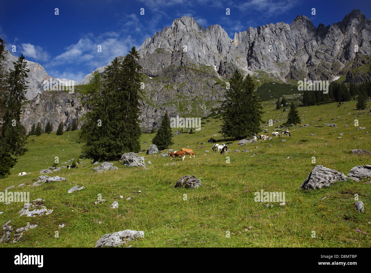 Alps hochkönig berchtesgaden austria hi-res stock photography and ...