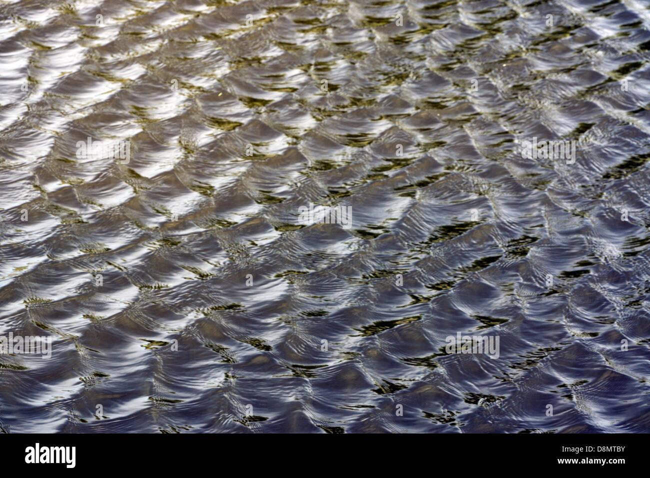 Ripples on a pond surface caused by wind Stock Photo - Alamy