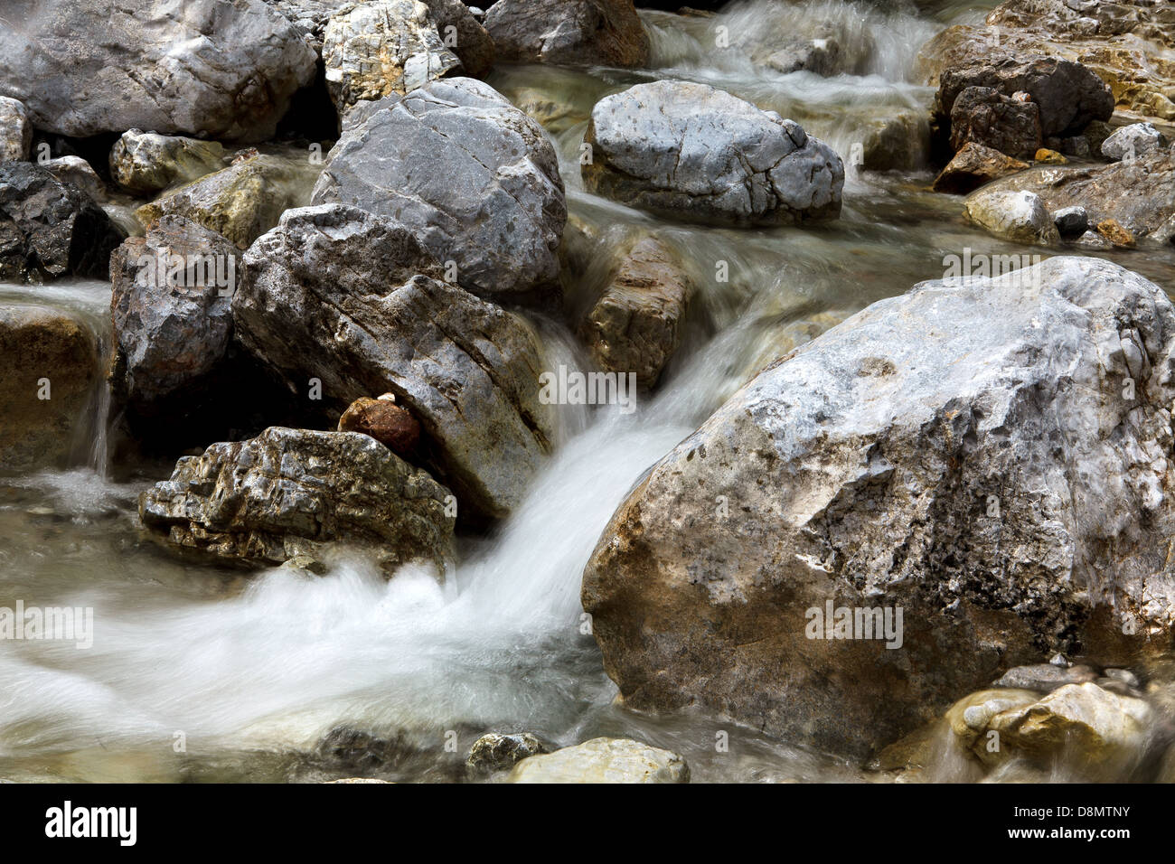 Moist mountain forest hi-res stock photography and images - Alamy