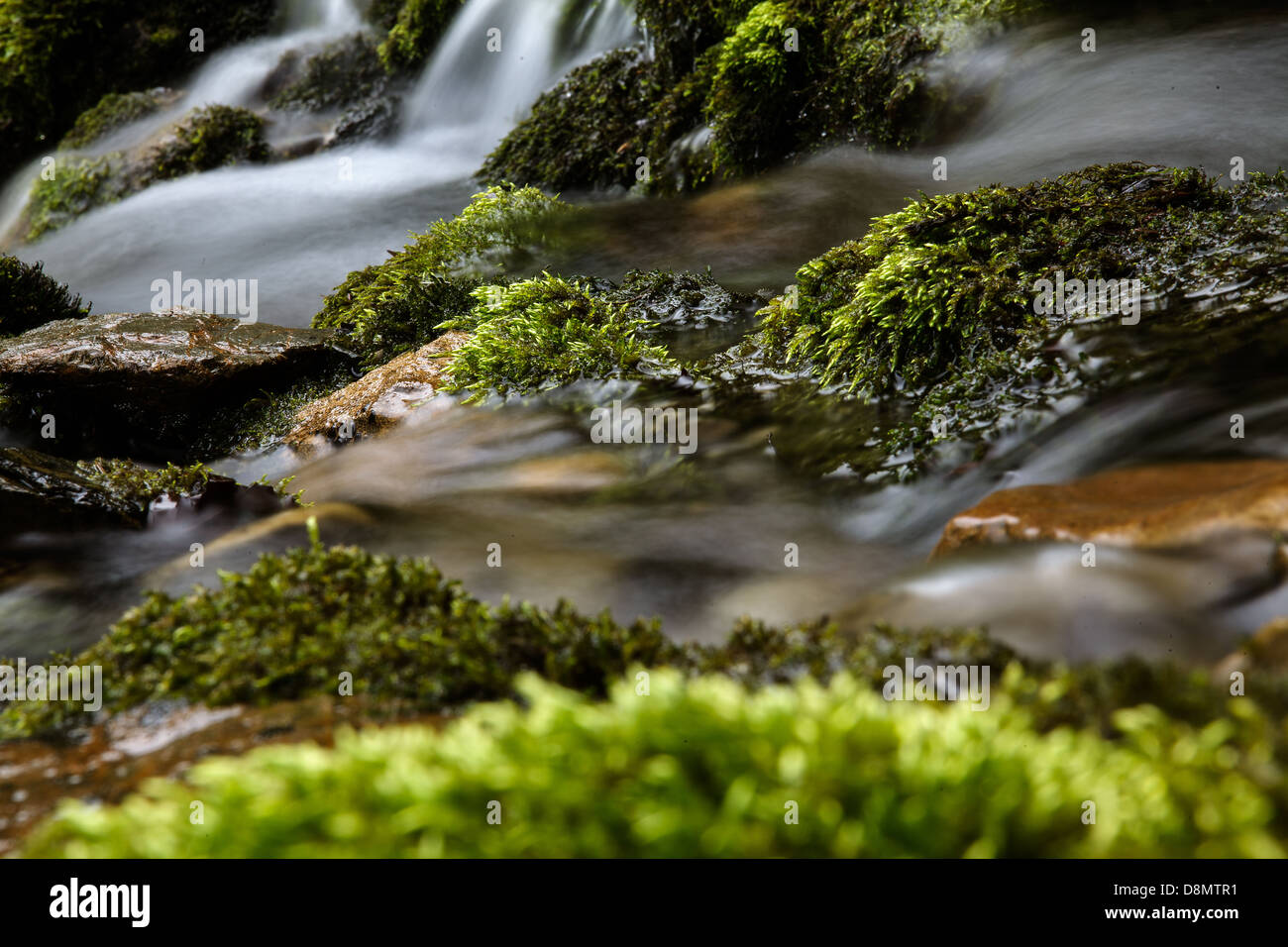 Roc creek hi-res stock photography and images - Alamy