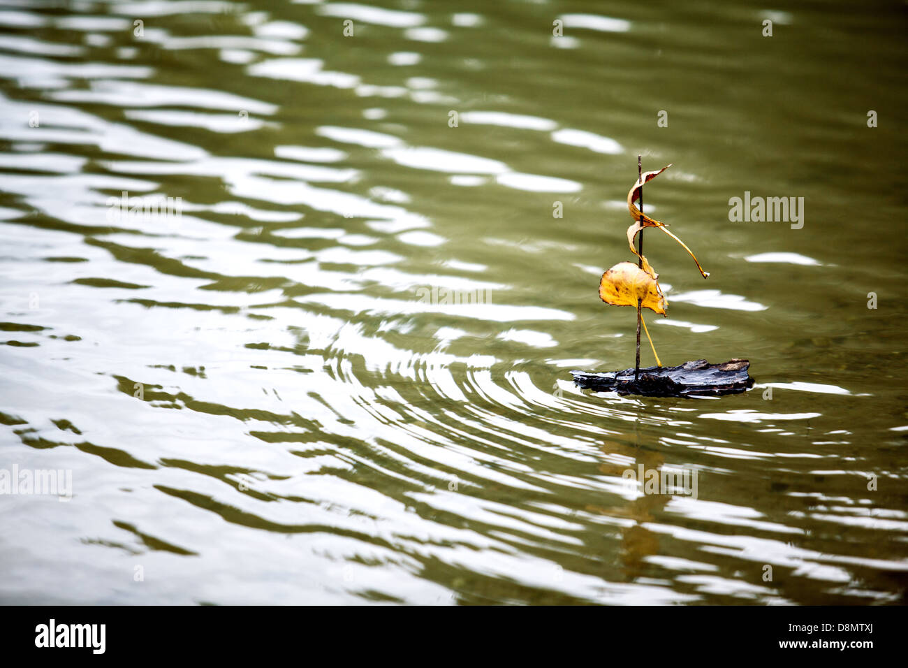 Tree Bark Boat Stock Photo - Alamy