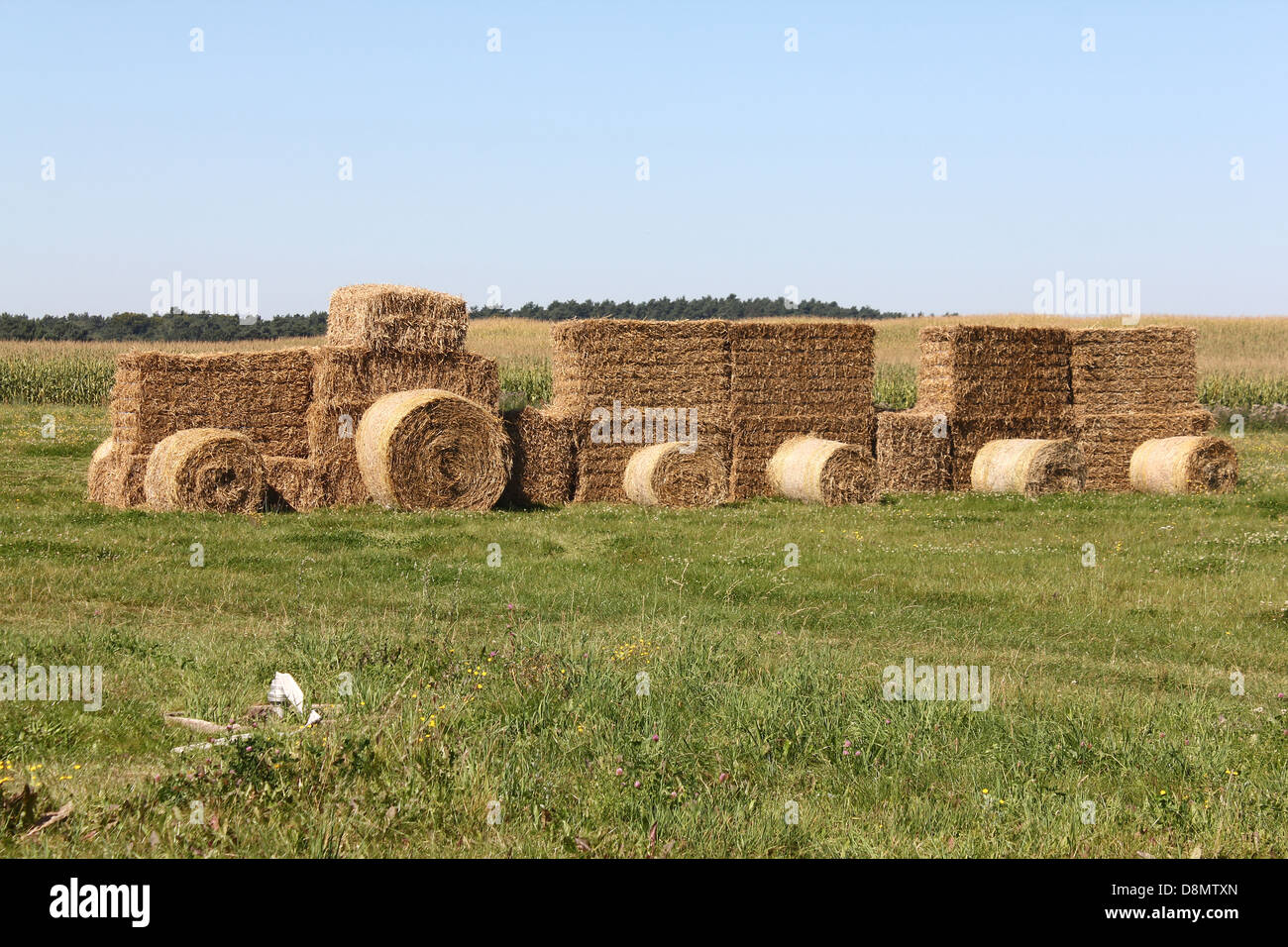 Little green tractor hi-res stock photography and images - Alamy