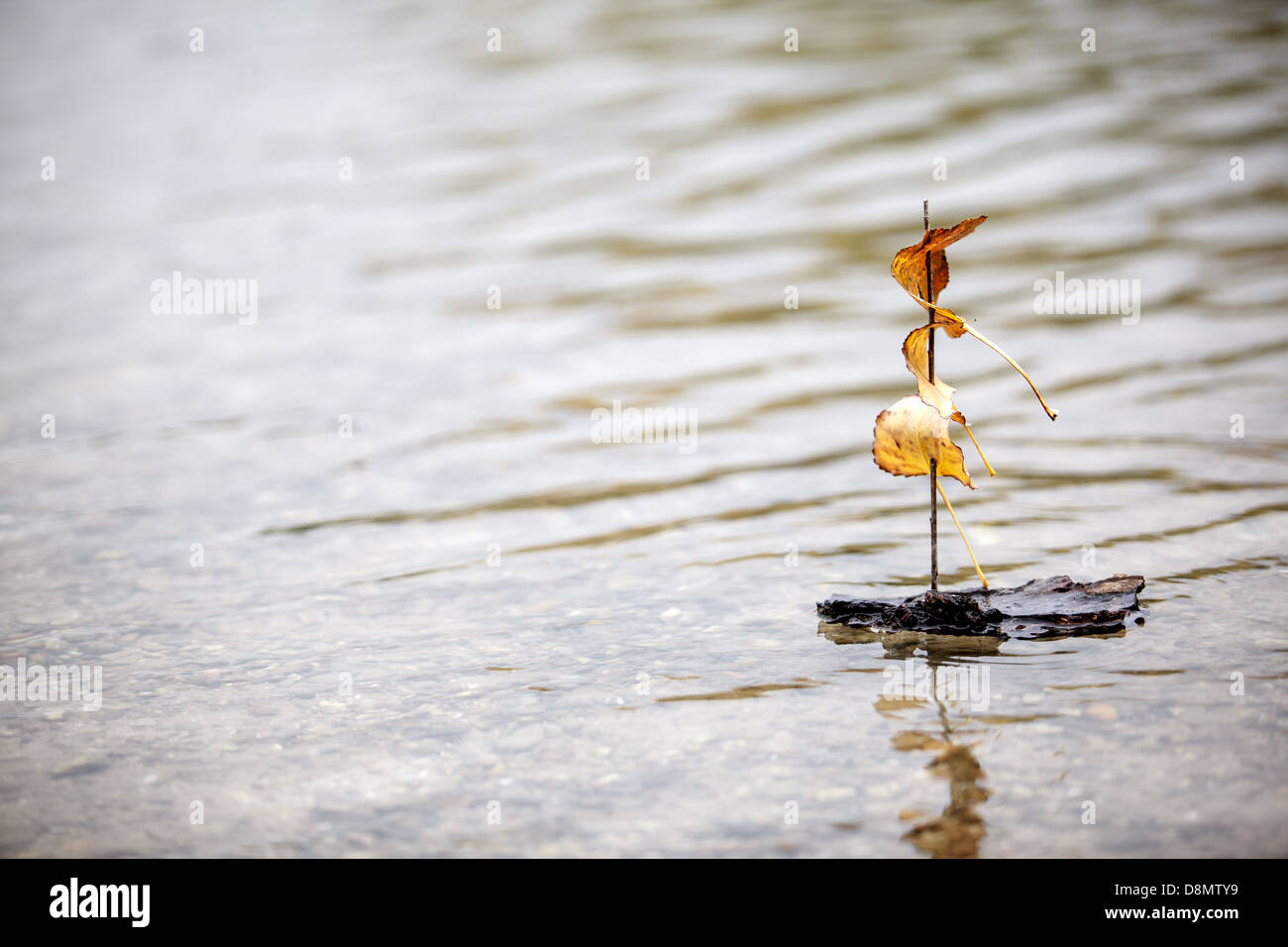 Tree Bark Boat Stock Photo - Alamy