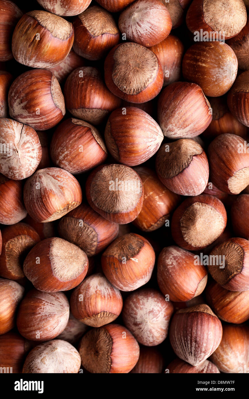 Hazel nuts cobs hi-res stock photography and images - Alamy