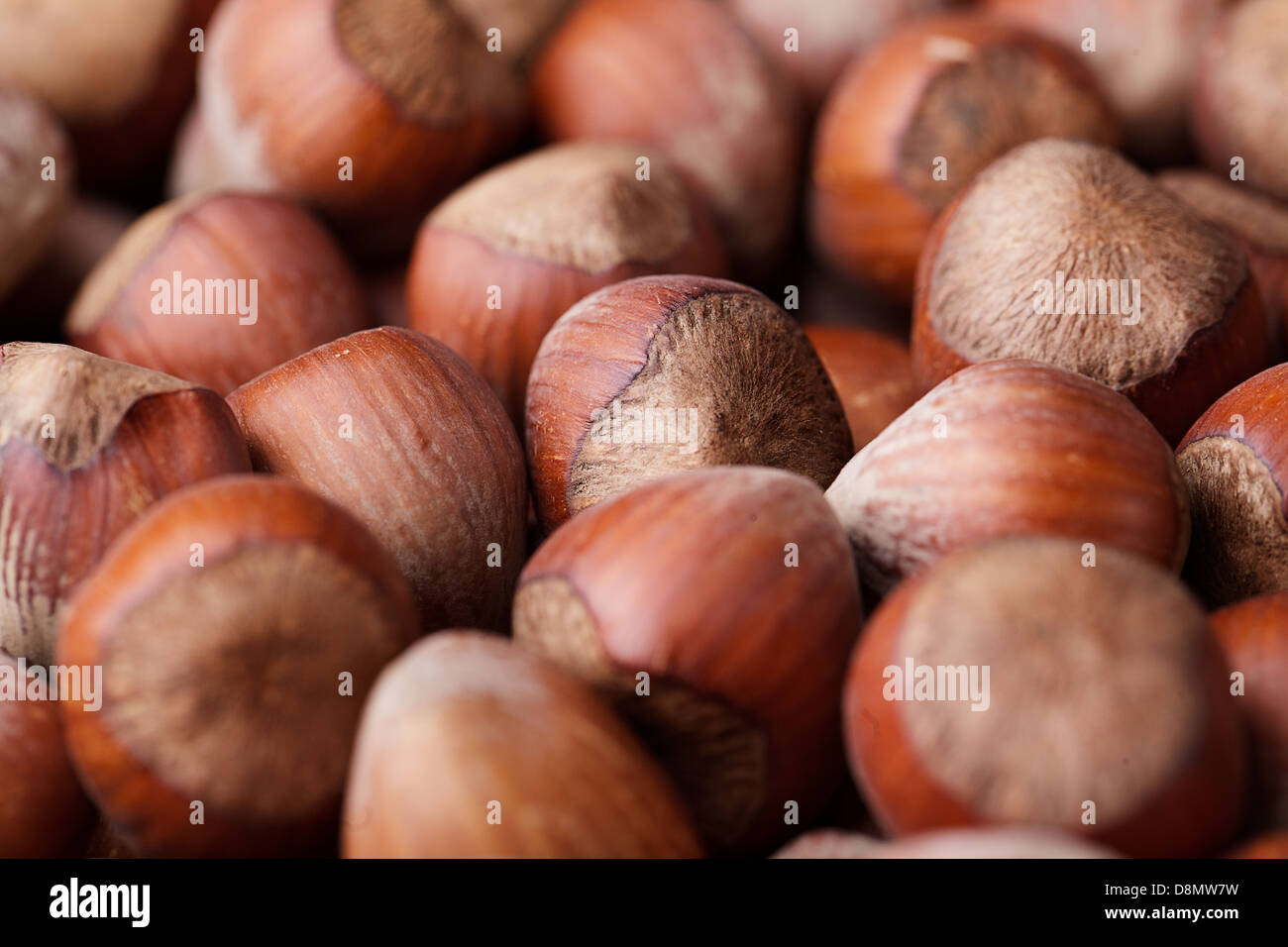 Hazel nuts cobs hi-res stock photography and images - Alamy