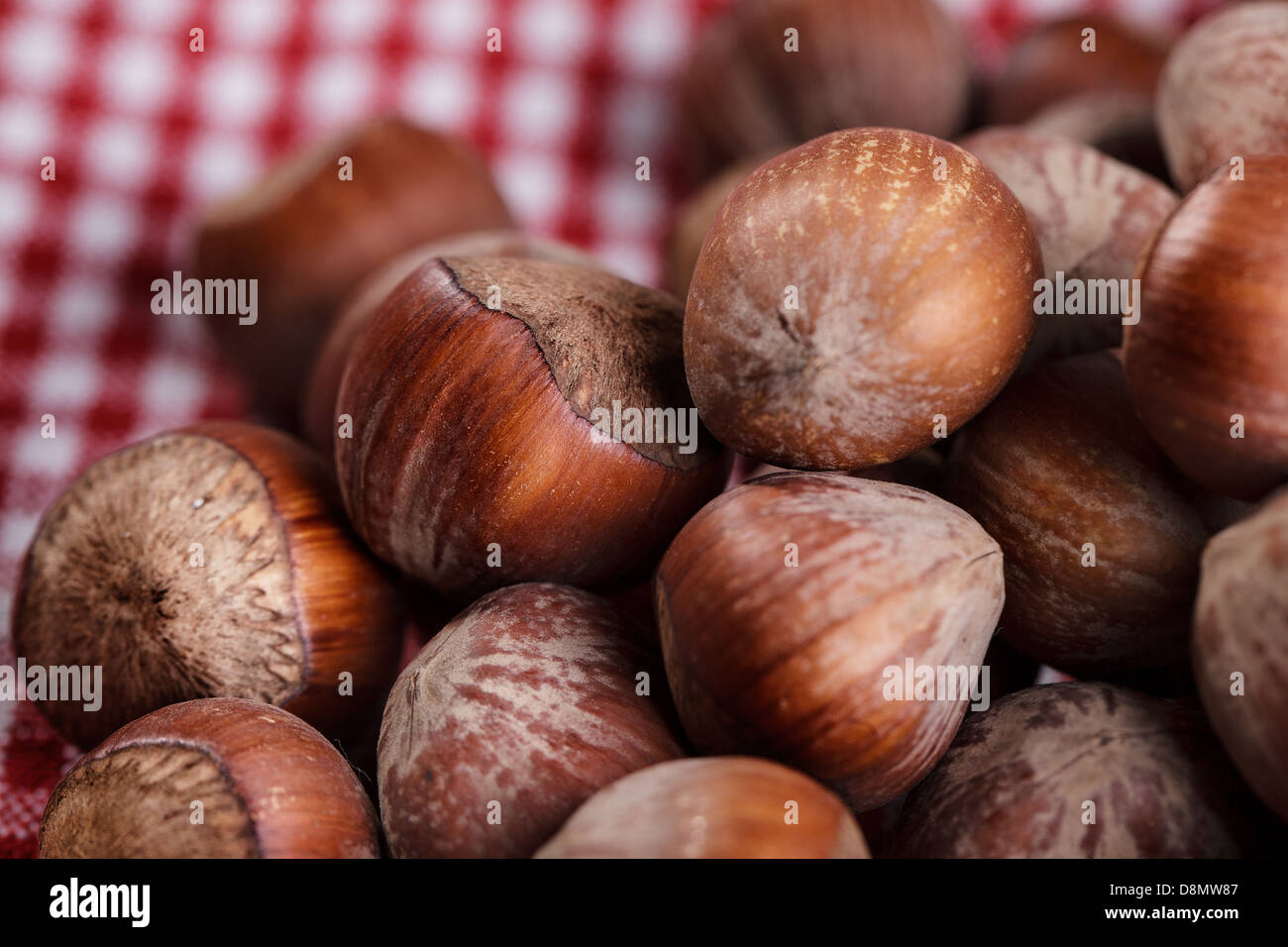 Ripe hazelnuts cob nuts in hi-res stock photography and images - Alamy