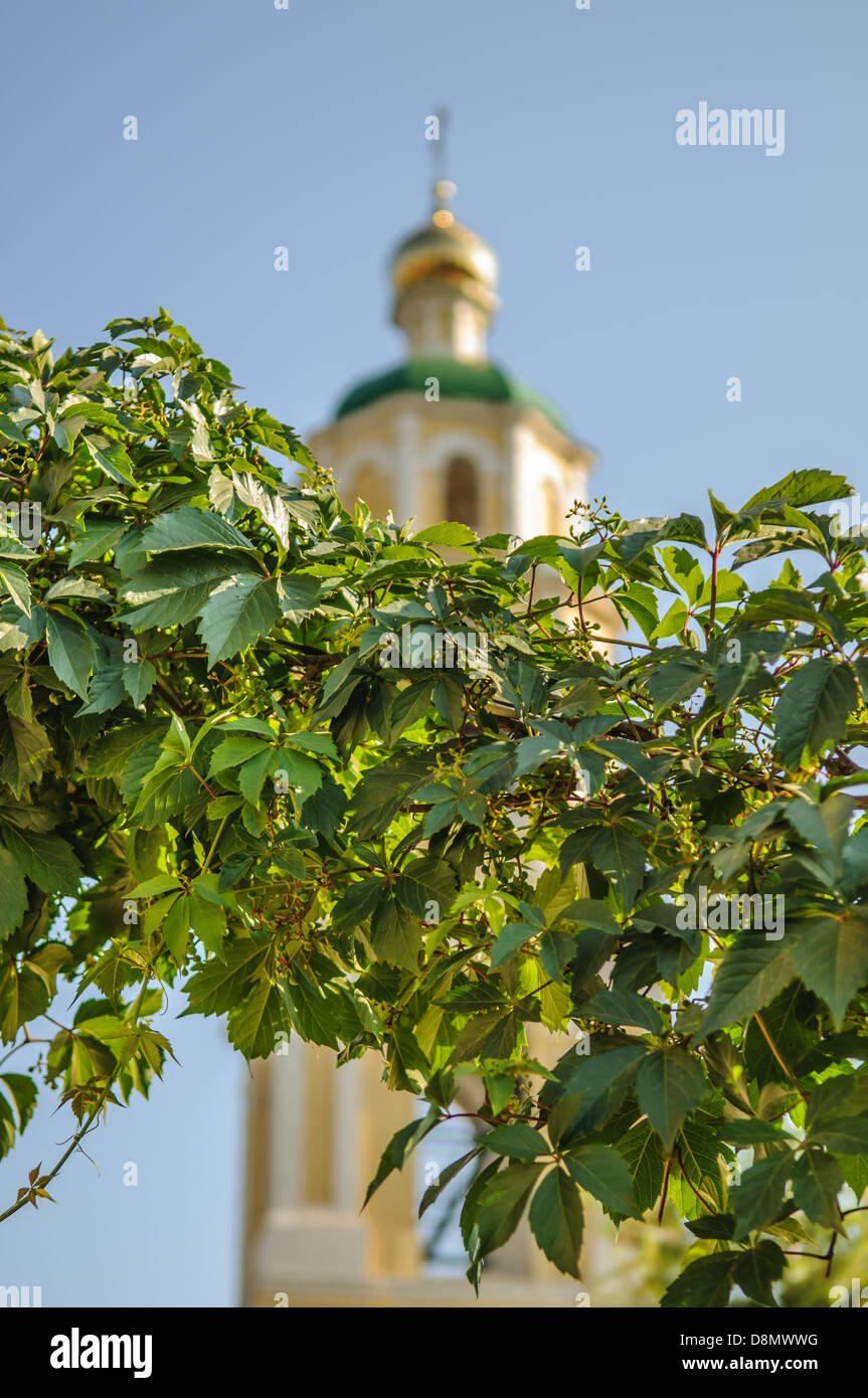 Grapes on the background of the church Stock Photo - Alamy