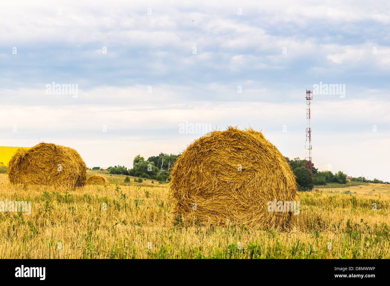 a bale of hay Stock Photo - Alamy
