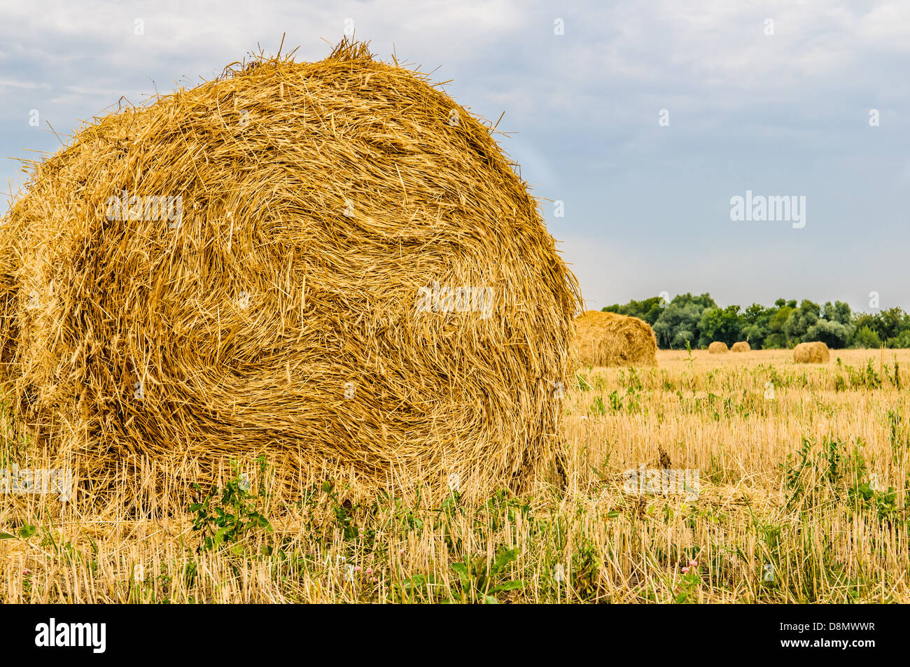 a bale of hay Stock Photo - Alamy