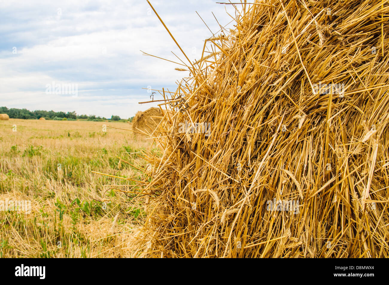 a bale of hay Stock Photo - Alamy