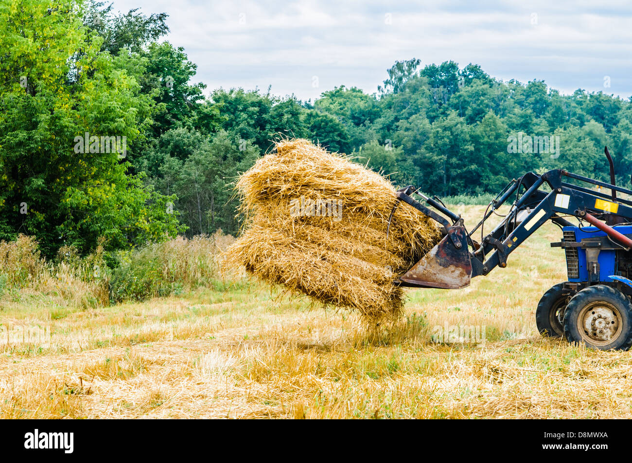 tractor with a hay Stock Photo - Alamy