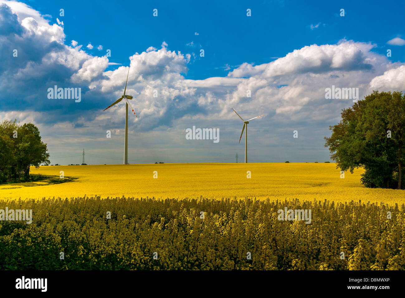 Summer landscape with energy wind turbines farm and rape field Stock ...