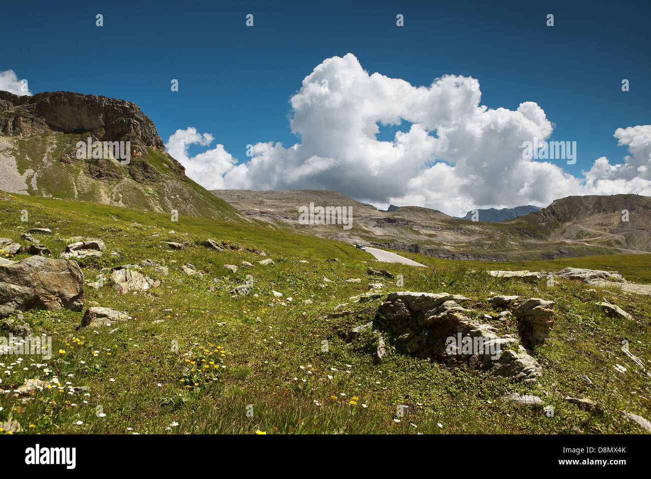 Alpine Meadow Stock Photo - Alamy