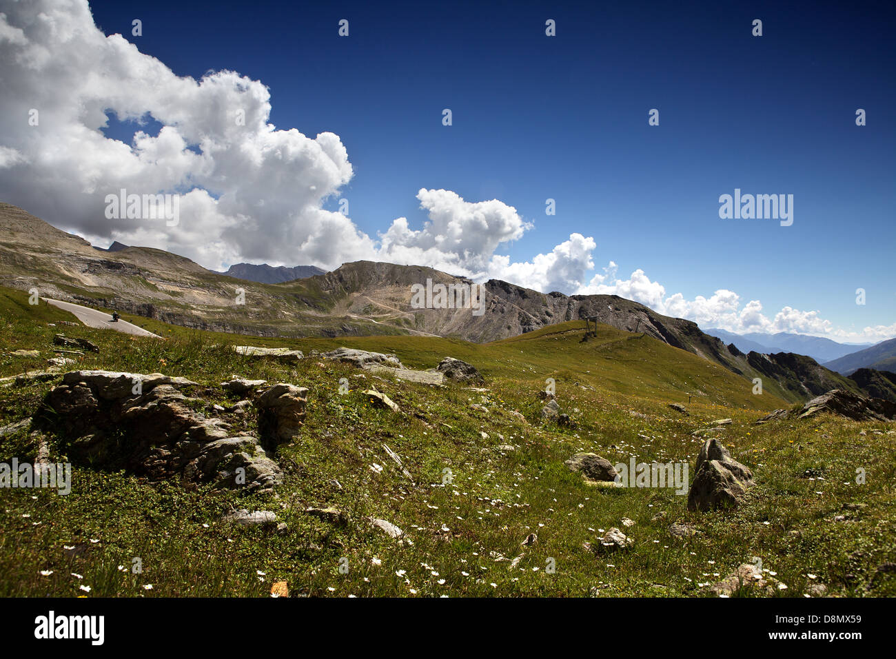 Alpenwiese hi-res stock photography and images - Alamy