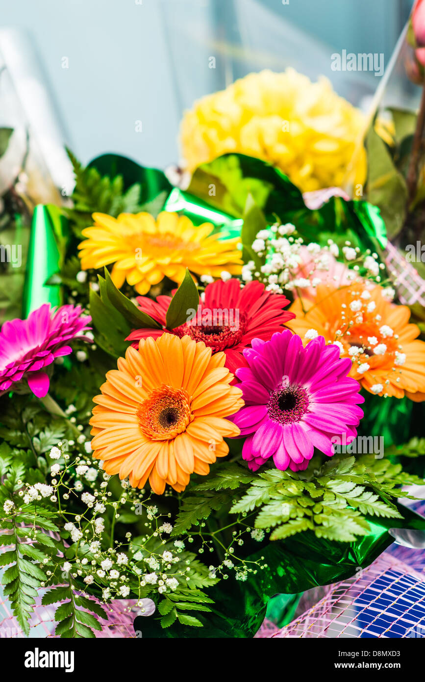 bouquet of red gerberas Stock Photo - Alamy