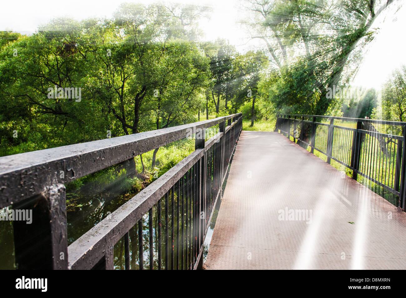 bridge in the park Stock Photo - Alamy