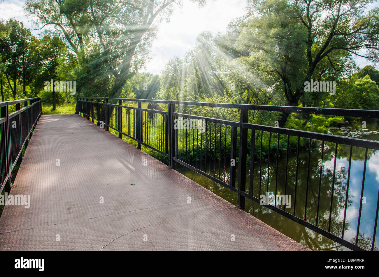 bridge in the park Stock Photo - Alamy