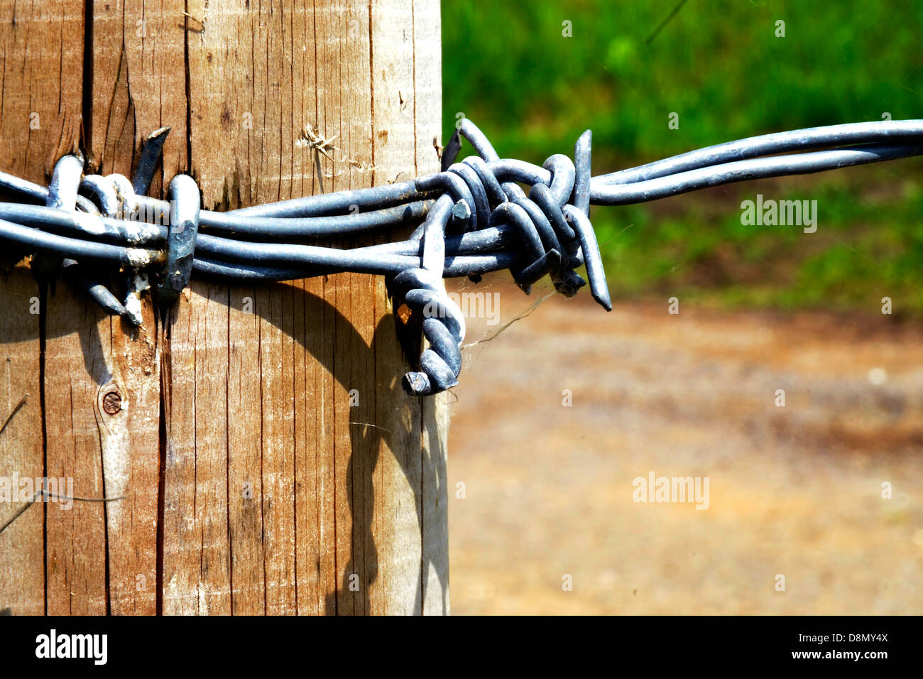 Barbed wire and fence post hi-res stock photography and images - Alamy
