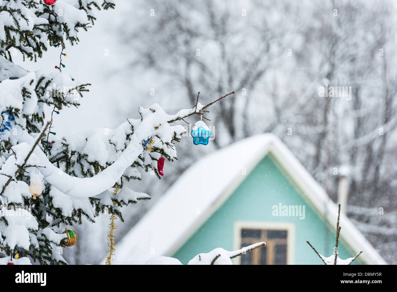 fir against home Stock Photo - Alamy