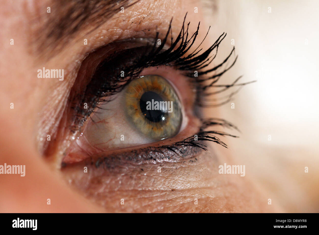 woman's eye close up Stock Photo - Alamy