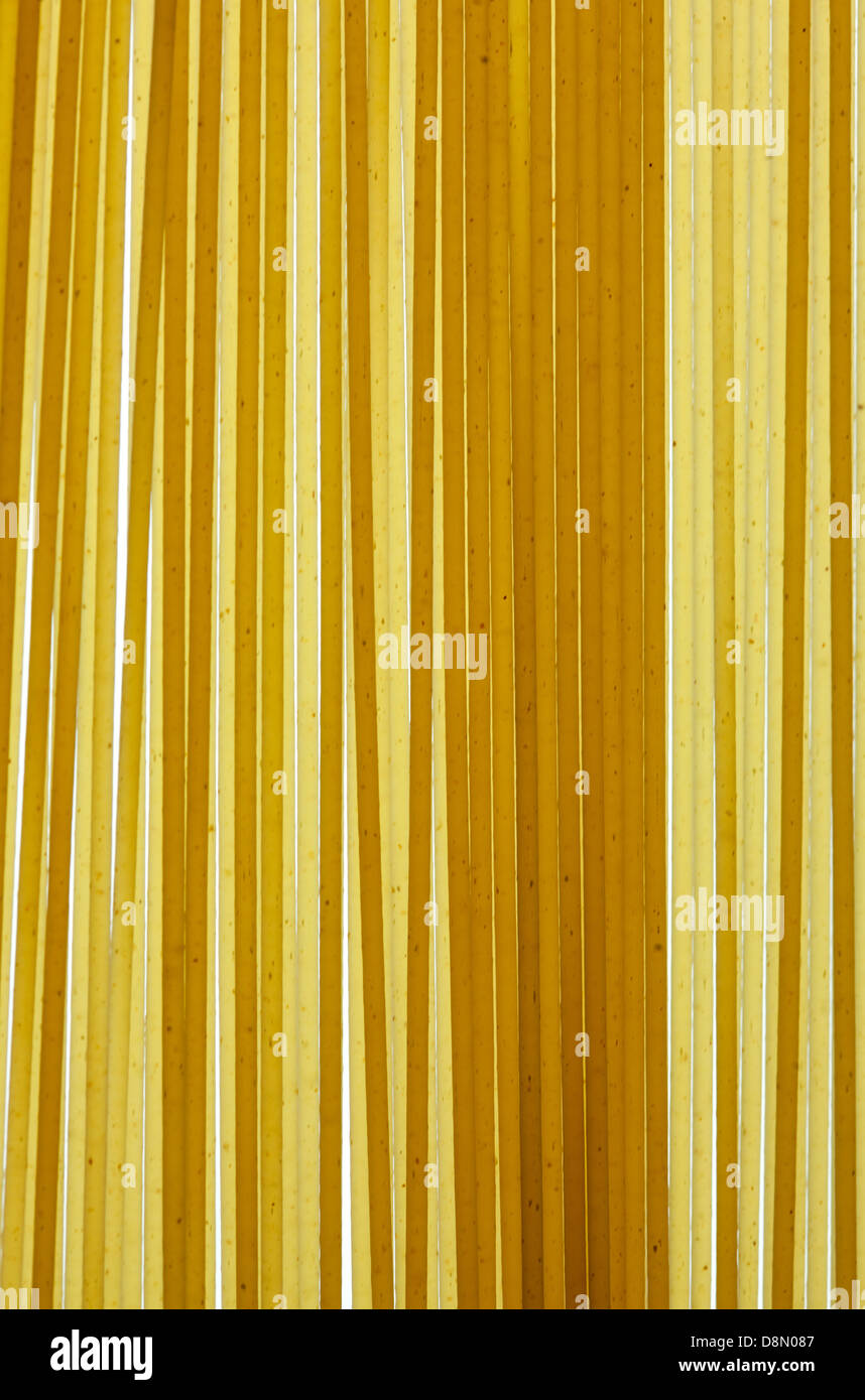 Pasta spaghetti italy Cut Out Stock Images & Pictures - Alamy