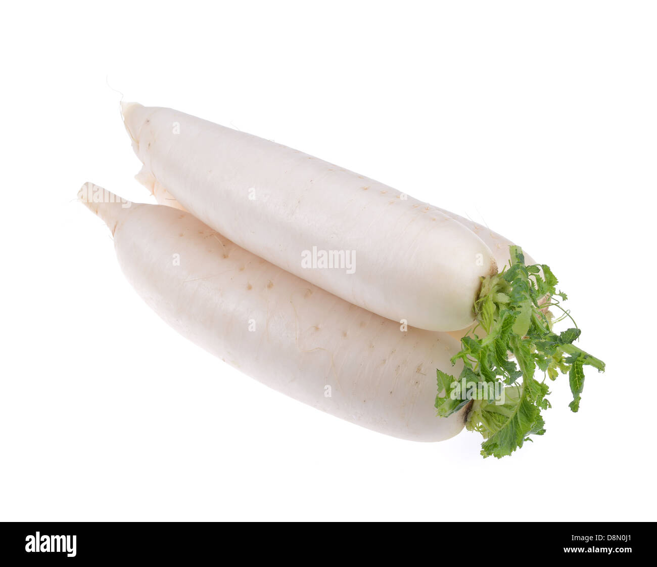 fresh white radish isolated Stock Photo - Alamy
