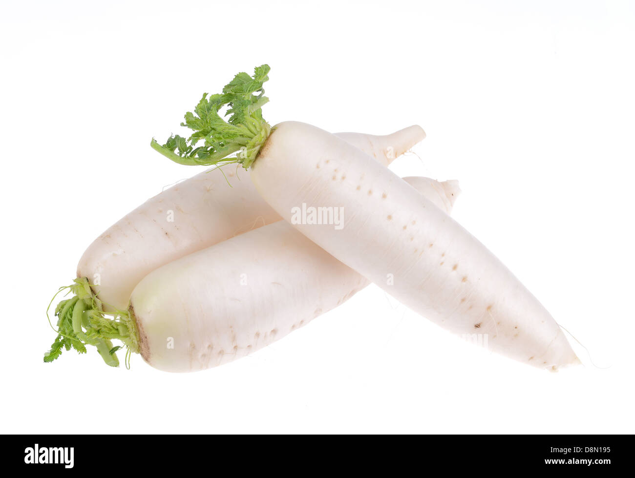 fresh white radish isolated Stock Photo - Alamy
