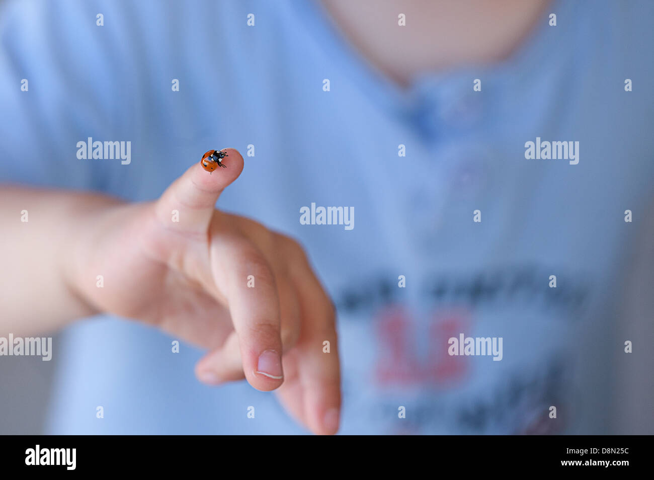 Ladybug on child hand Stock Photo - Alamy
