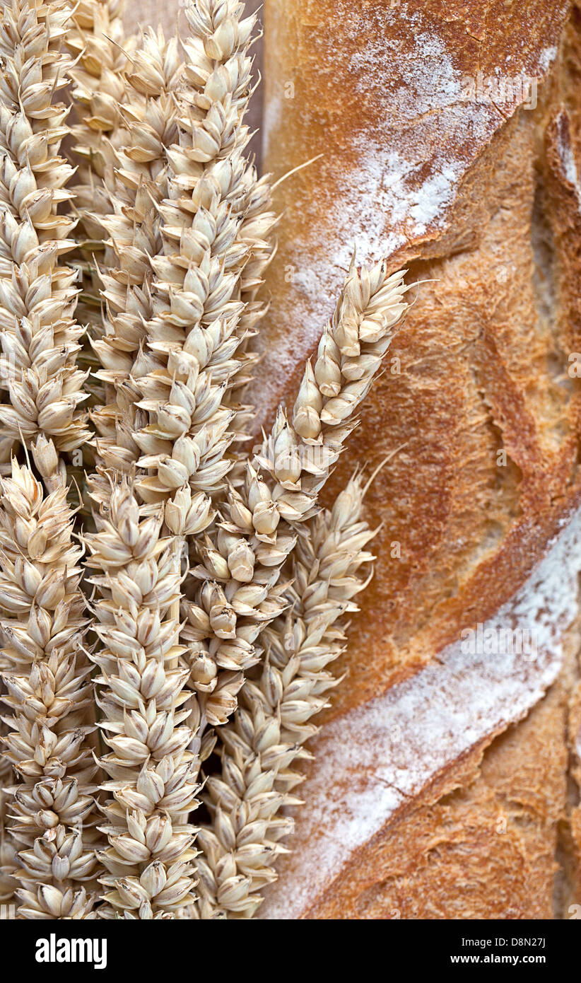 Bread and Wheat Stock Photo - Alamy
