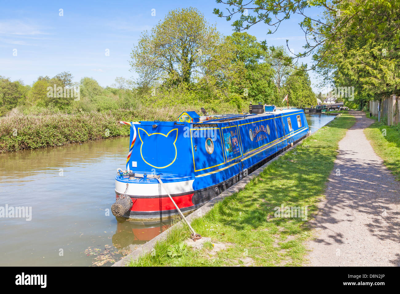 A bright blue and red narrowboat moored on the towpath of the Kennet ...