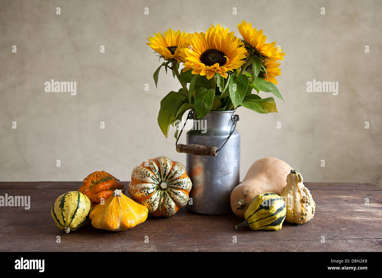 Autumn Still-Life with Pumpkins Stock Photo - Alamy