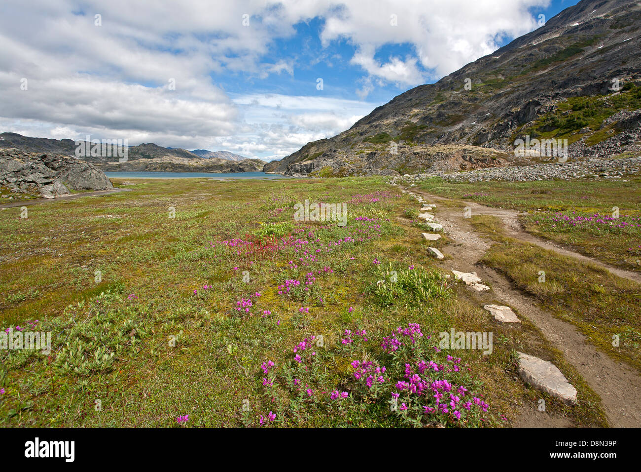 Chilkoot trail. British Columbia. Canada Stock Photo - Alamy