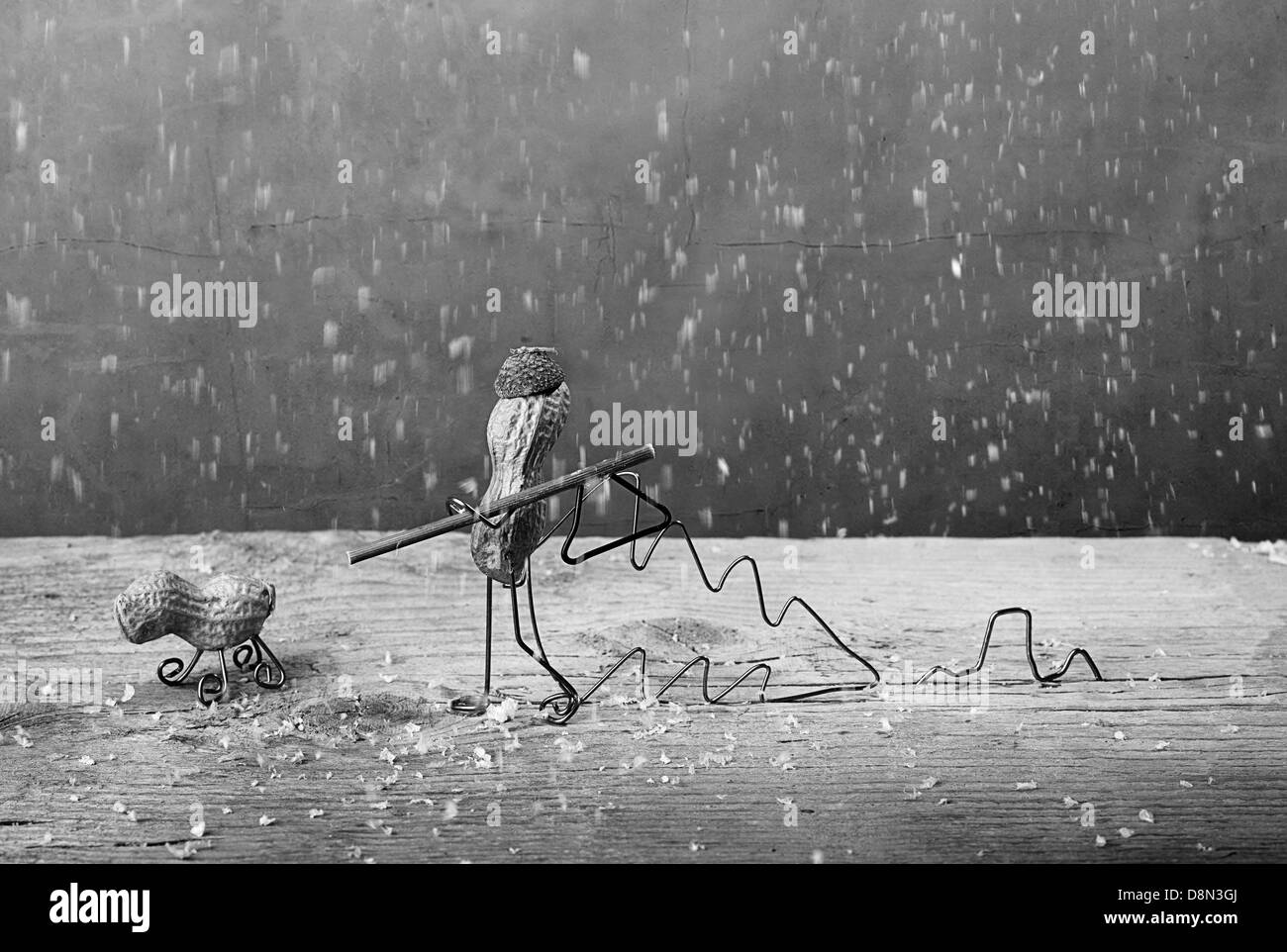 Man cutting tree Black and White Stock Photos & Images - Alamy