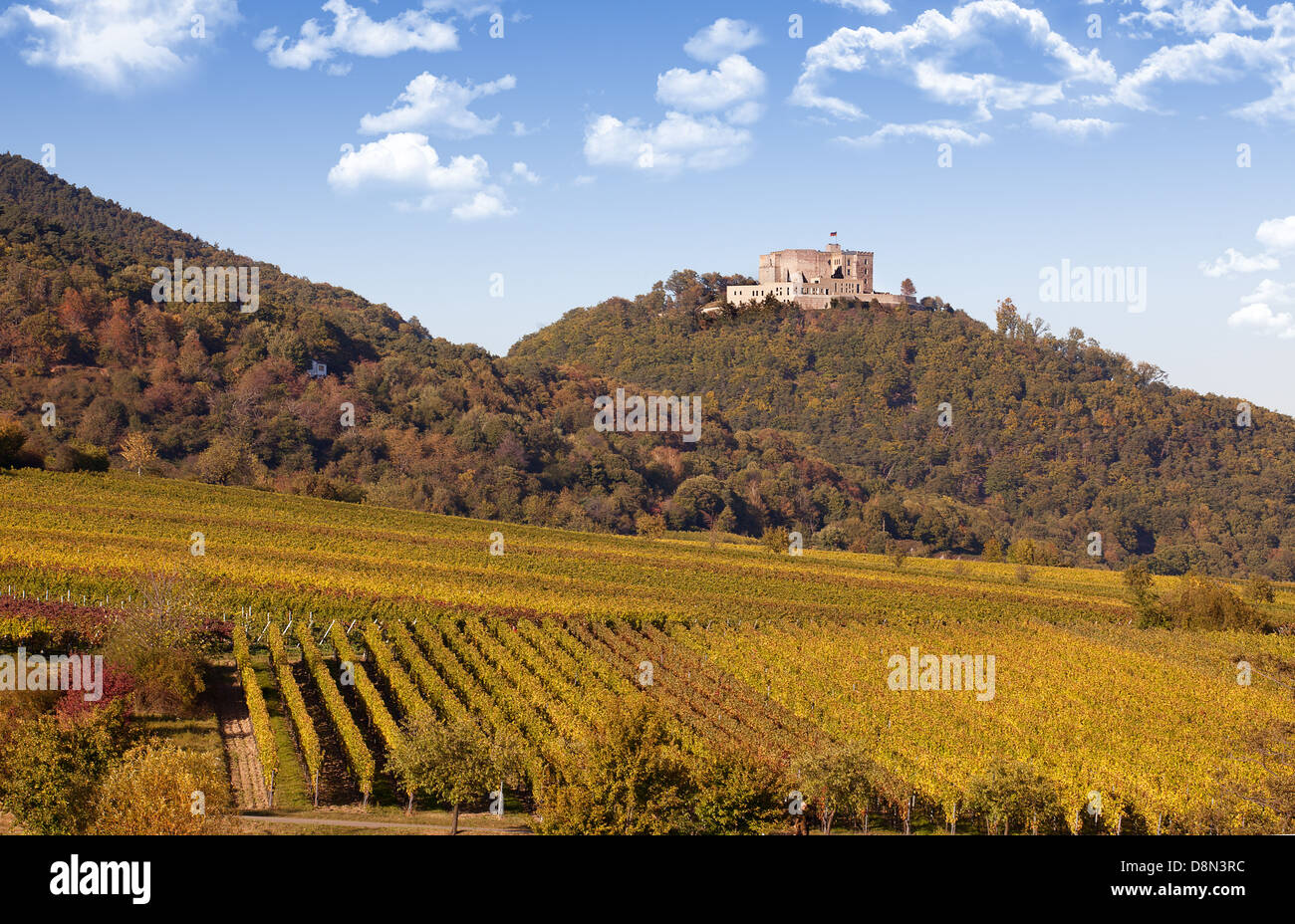 Hambach Palace and Vineyards Stock Photo - Alamy