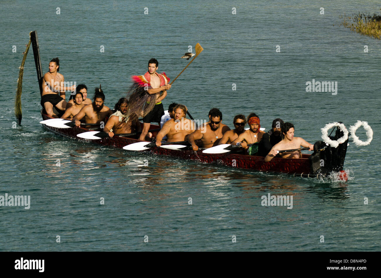 Male Maori Warrior High Resolution Stock Photography and Images - Alamy