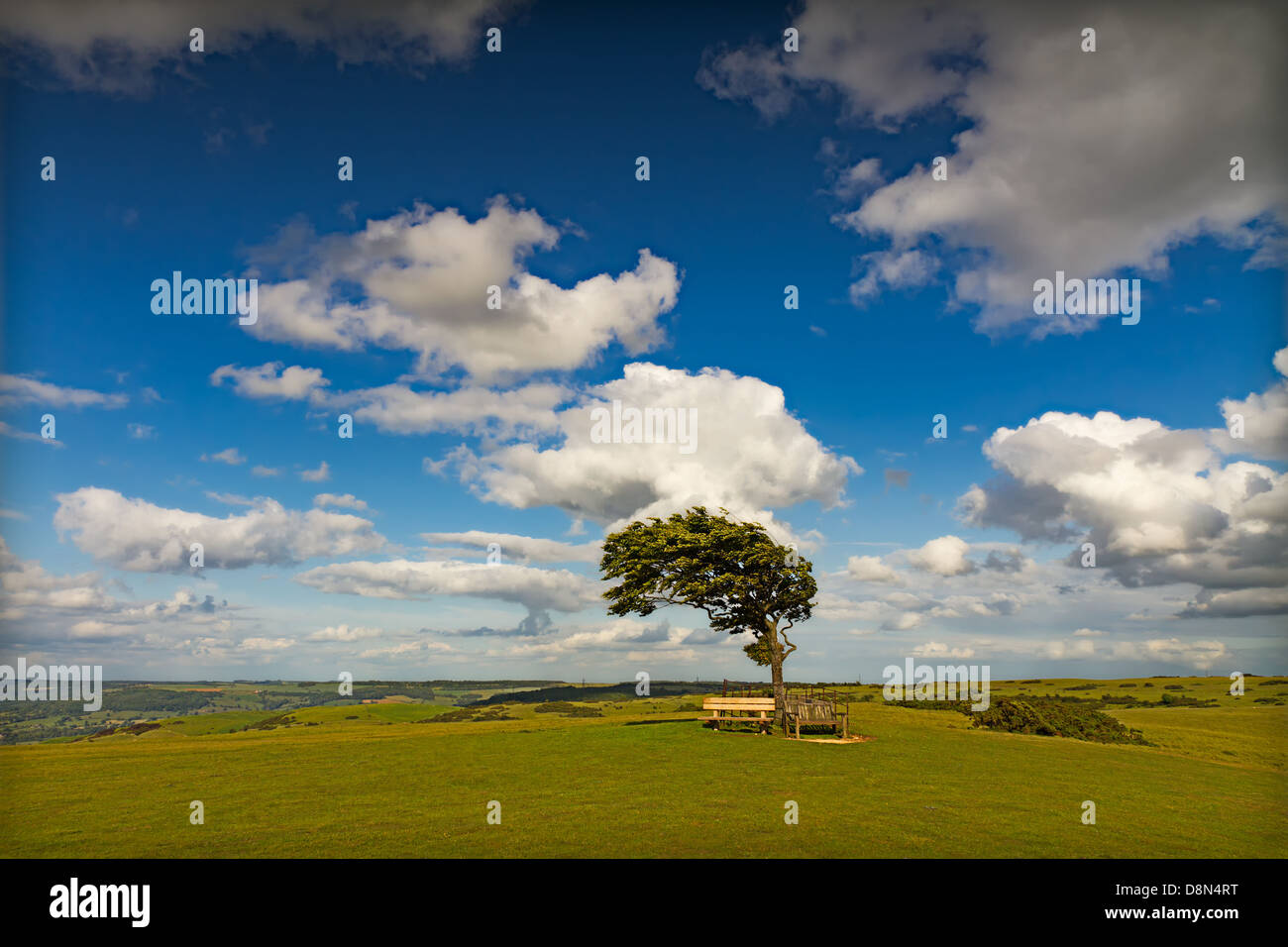 Edge of a hill windy hi-res stock photography and images - Alamy