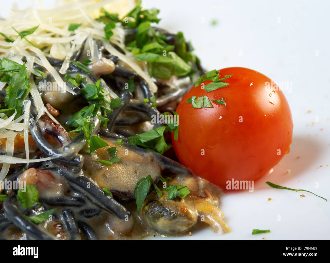 Seppia hi-res stock photography and images - Alamy