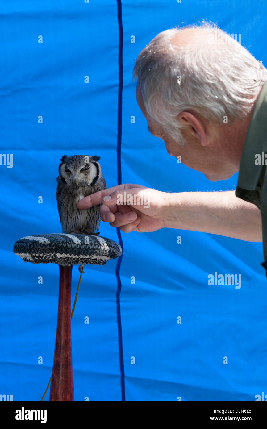 White faced man hi-res stock photography and images - Alamy
