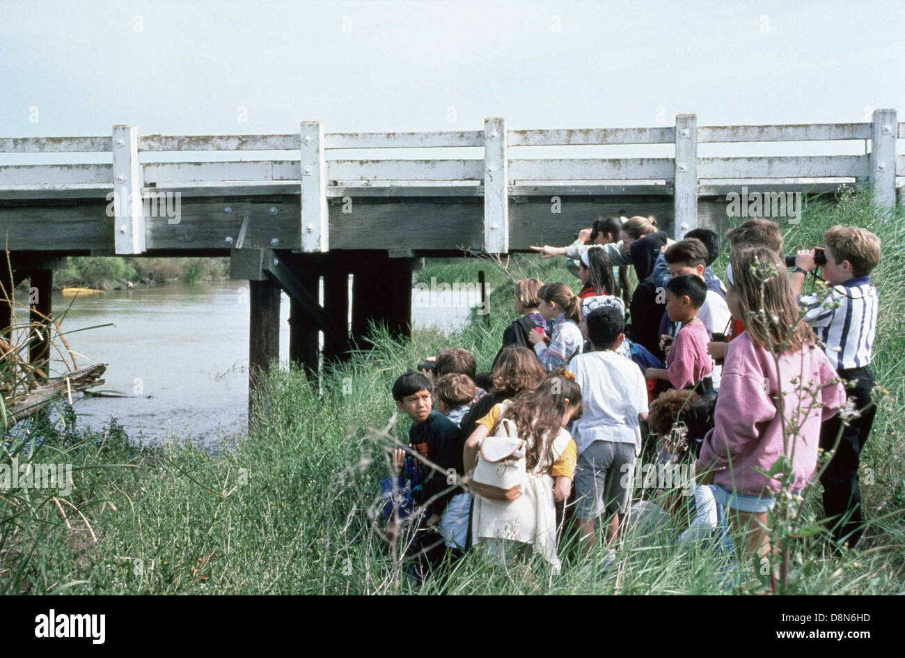 A group of children observing wildlife near a bridge. The children are ...