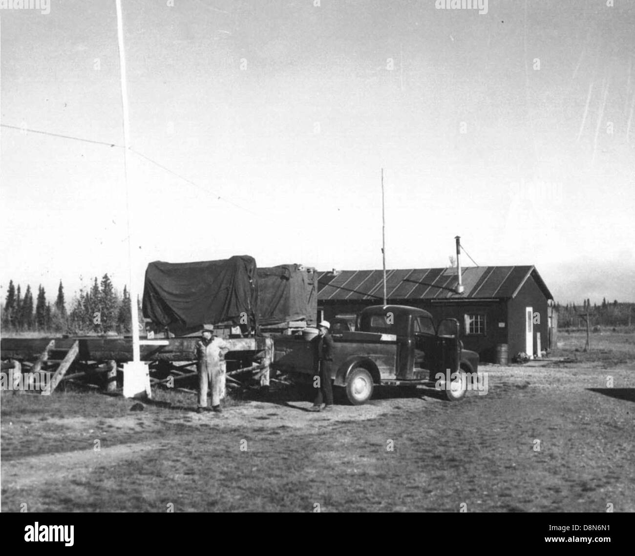A bison transplanting operation where bison are relocated to new areas ...