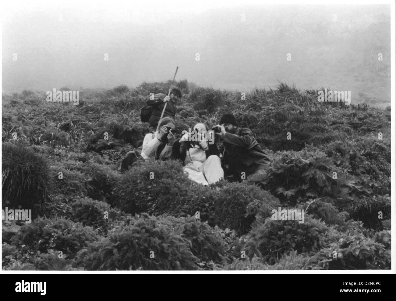 Natural science orange Black and White Stock Photos & Images - Alamy