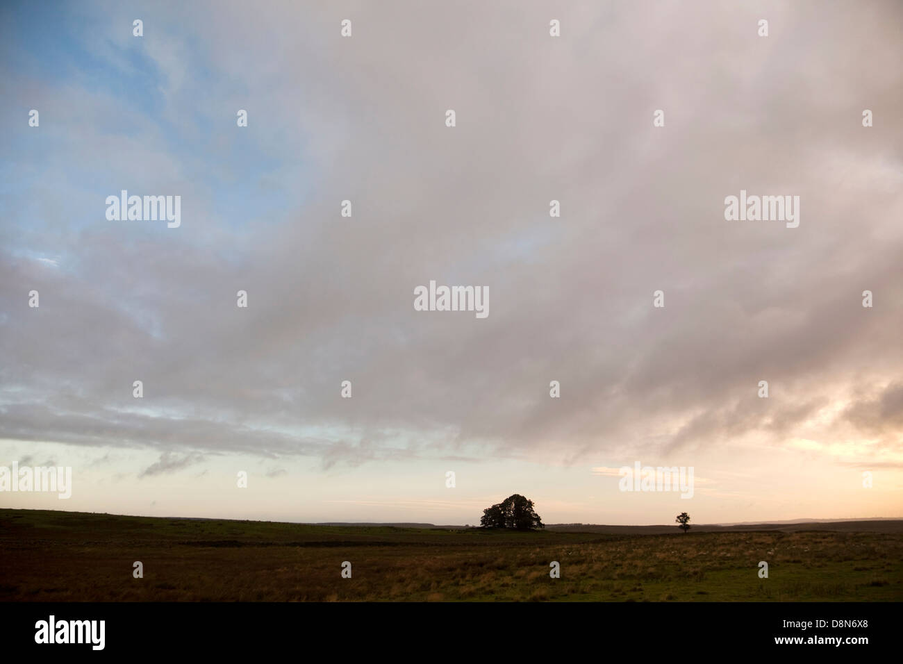 Old repeater station hi-res stock photography and images - Alamy