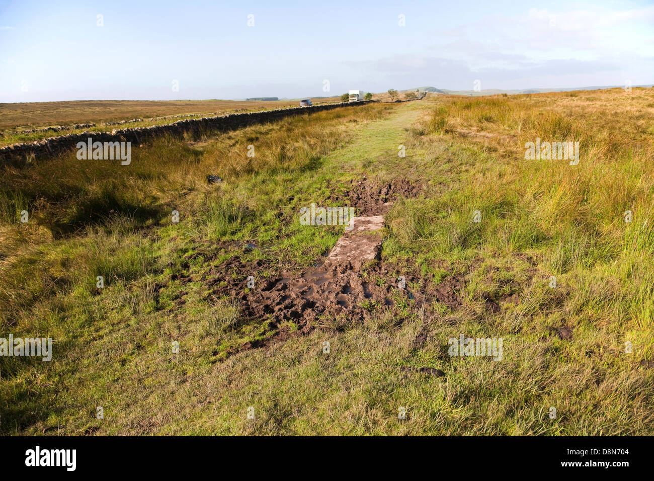 Muddy grassland hi-res stock photography and images - Alamy